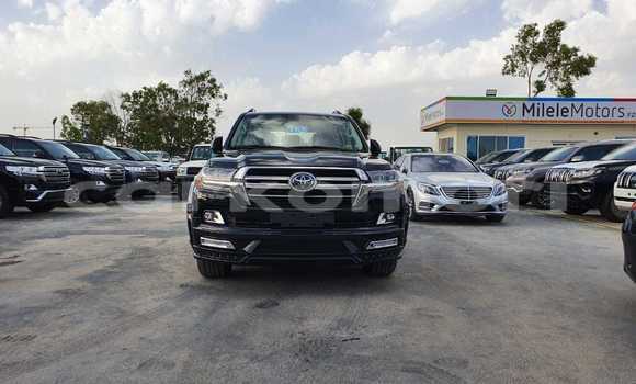 Premier site de petites annonces automobiles - Comores